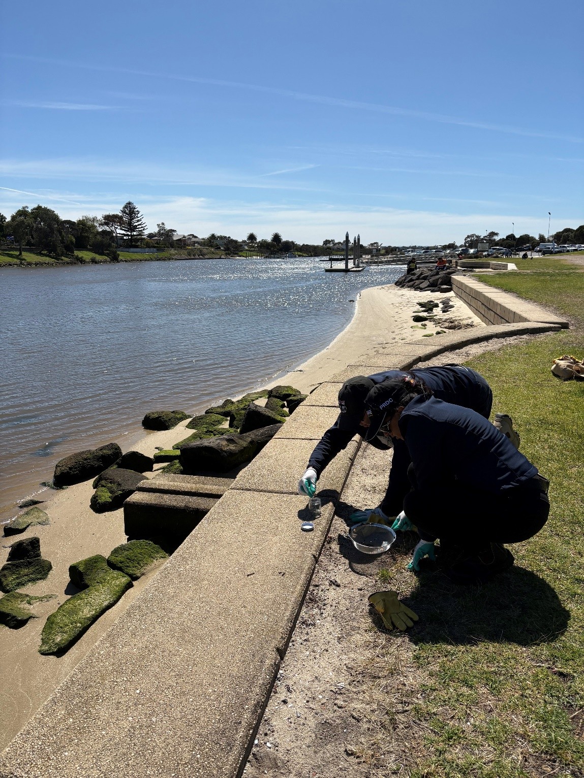 Industry Clean Up Day 2025 | Covestro